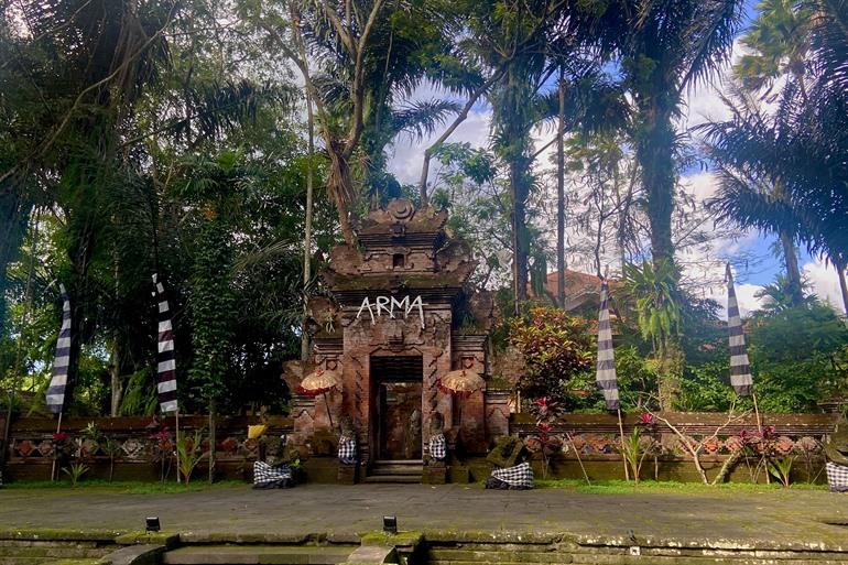 Dé 15 x mooiste bezienswaardigheden in en rond Ubud, Bali