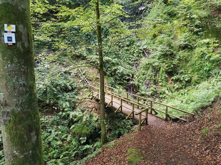 Schwarzwaldhochstraße B500: wat zien & doen op deze route?