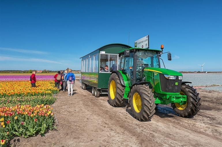 Dé 15 mooiste tulpenvelden & bollenvelden in Nederland 2025