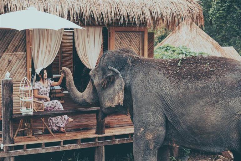 Bijzonder overnachten in Thailand (2025) 15 x unieke accommodaties