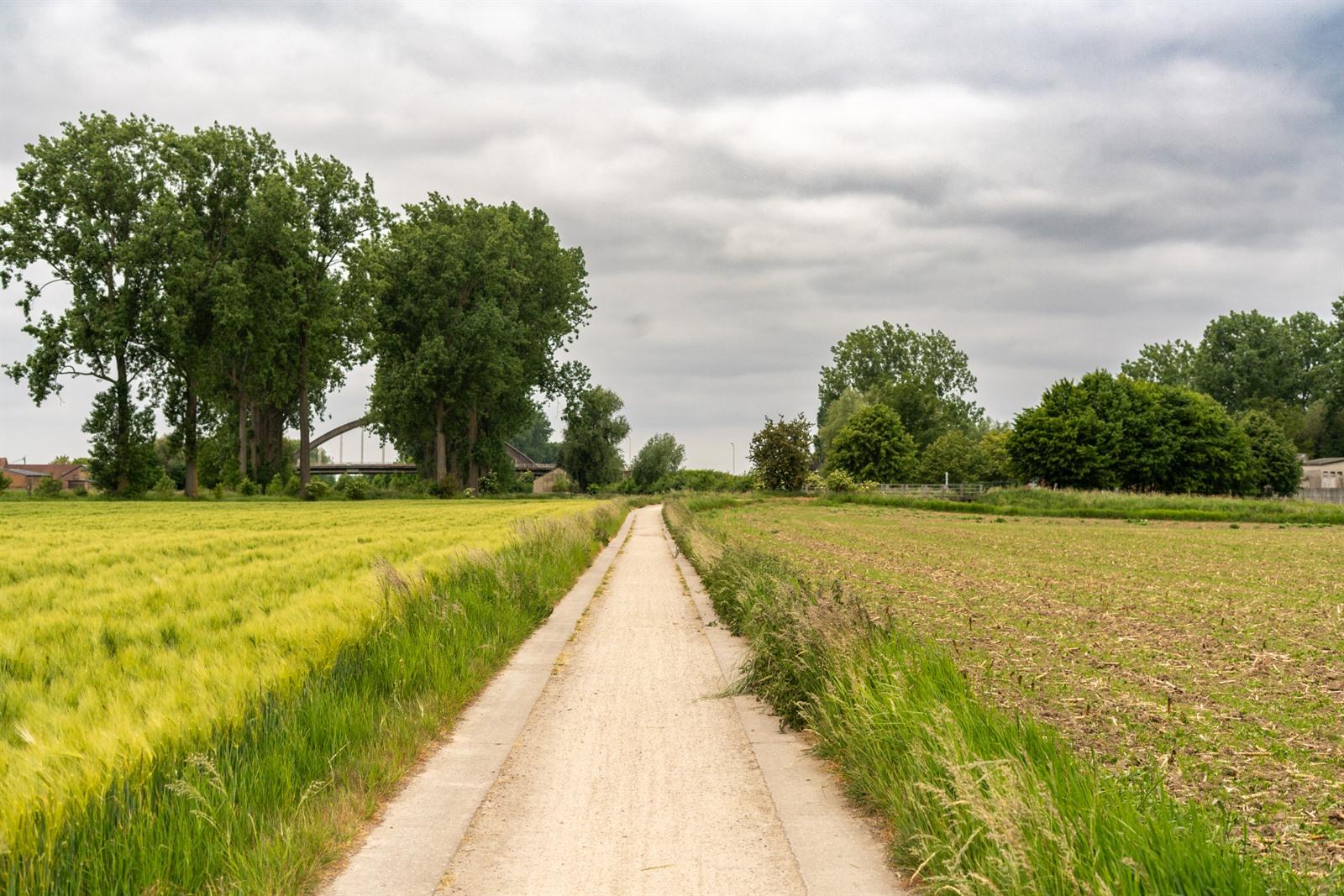 Fietstocht langs de Schelde: volledige route en leuke tips (+kaartje)