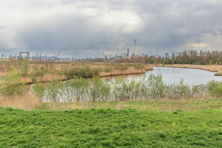 8 x leuke stops met de Waterbus langs de Schelde + wandeling