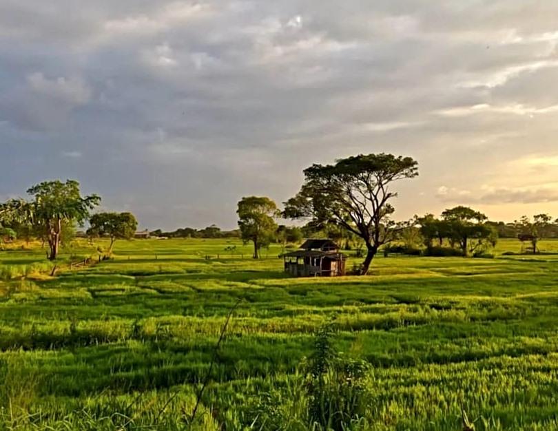 8 bezienswaardigheden in Sigirya: wat bezoeken in de oude stad ...