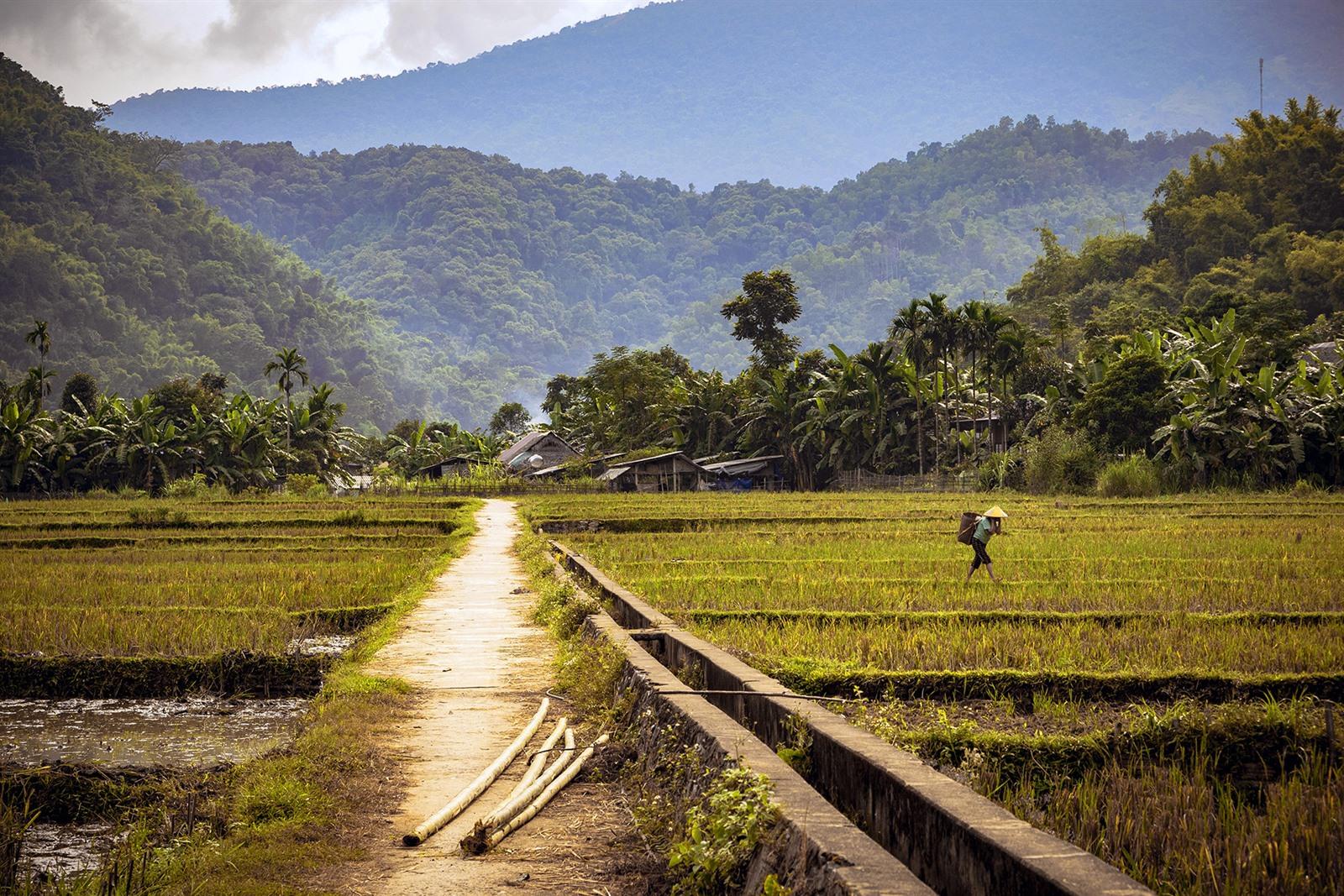 Mooiste rijstvelden van Vietnam: onze top 7 + kaartje