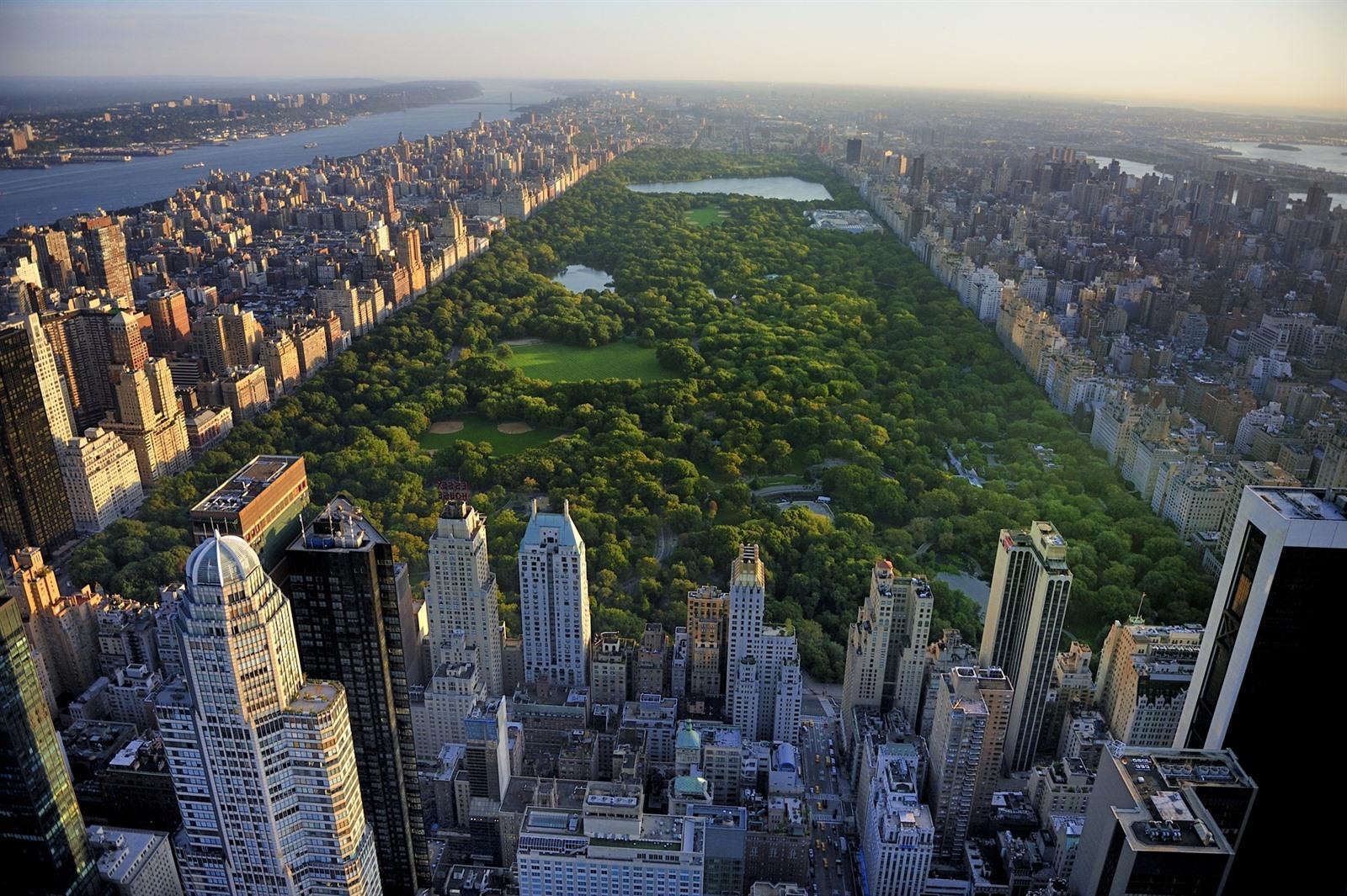 Wandeling Central Park Times Square En Broadway New York Wandeling Central Park Times Square En Broadway New York