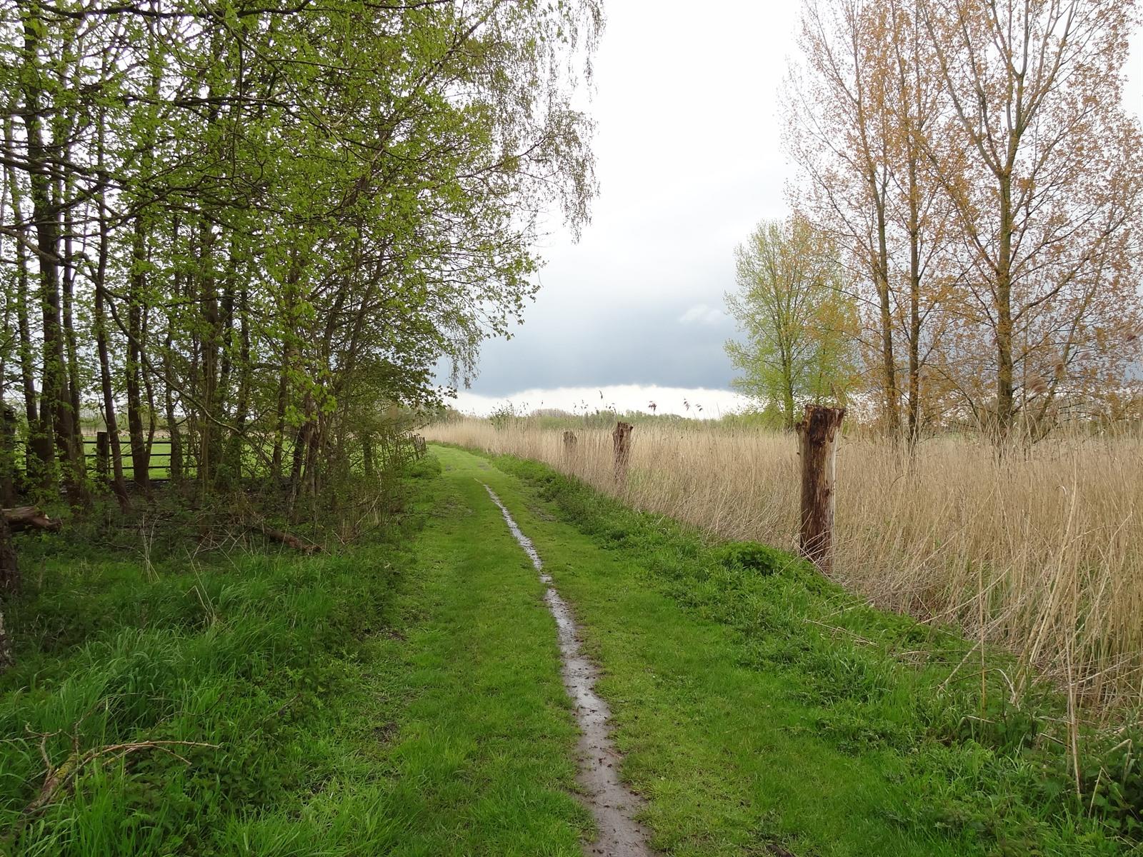 Wandelen in de Kalkense Meersen